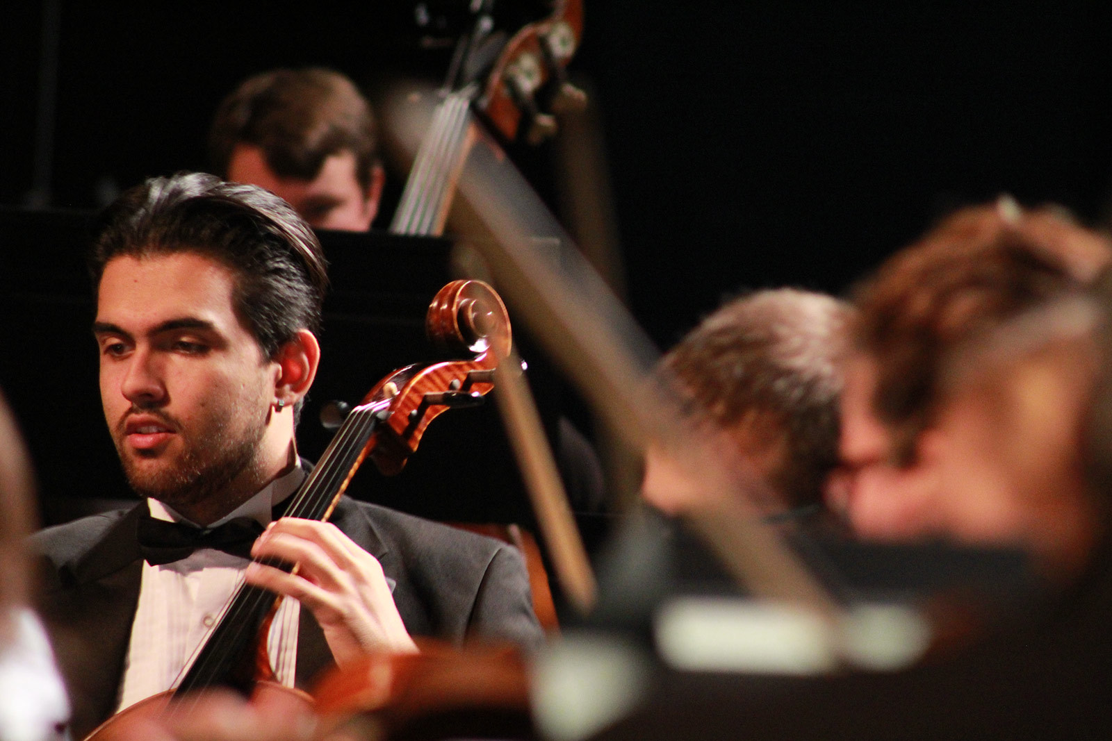 Image Gallery Show Album | Southern Tier Symphony